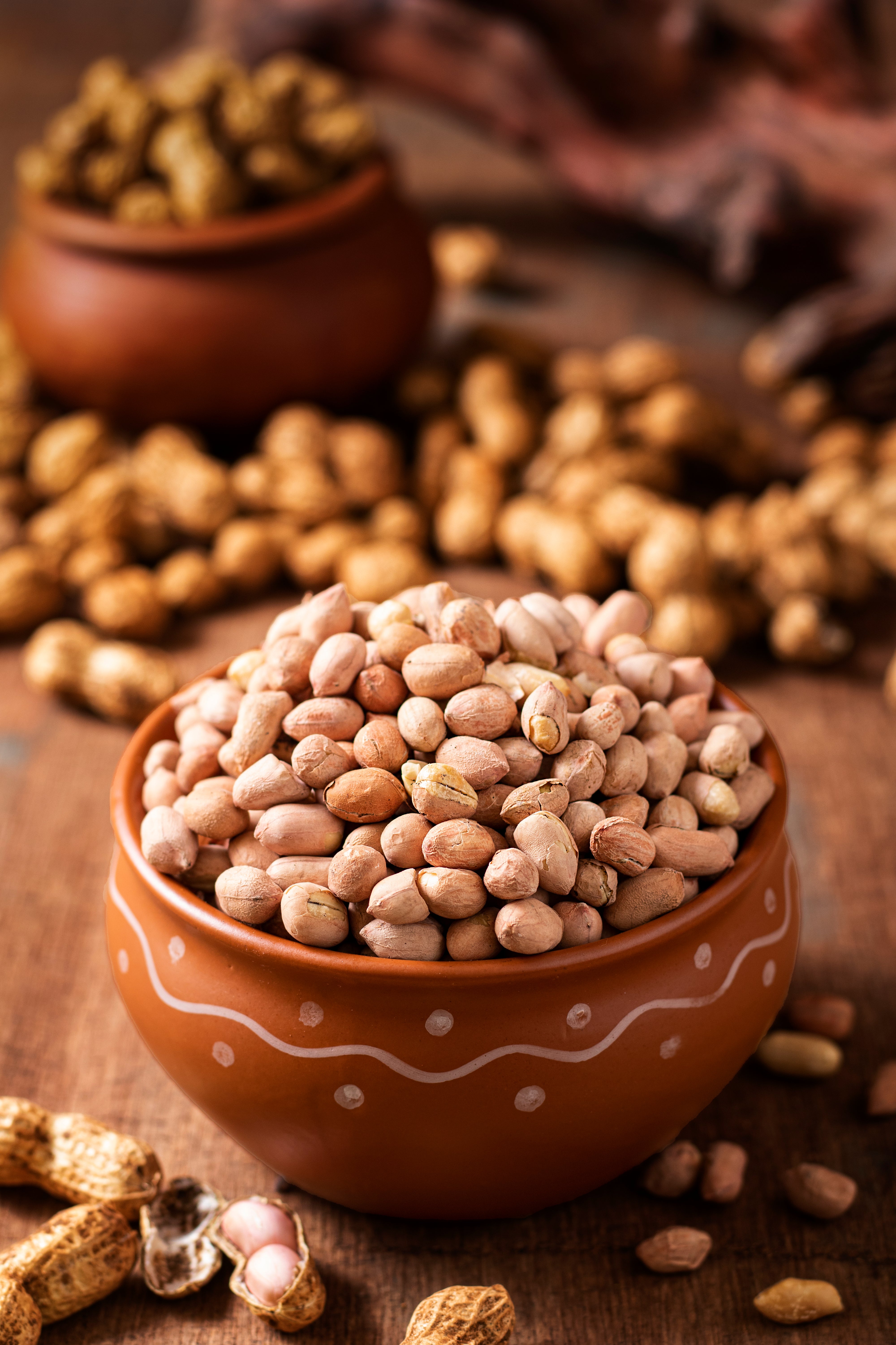 Gavran Peanuts | 200gm – Nana's Chana